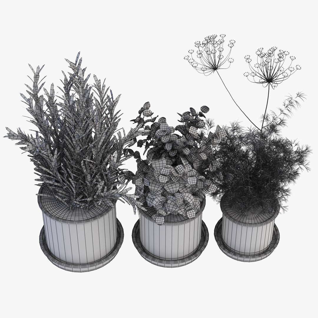 Orla Kiely Pot Plant 3d Obj