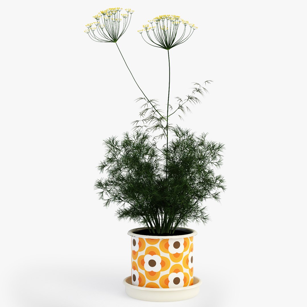 Orla Kiely Pot Plant 3d Obj