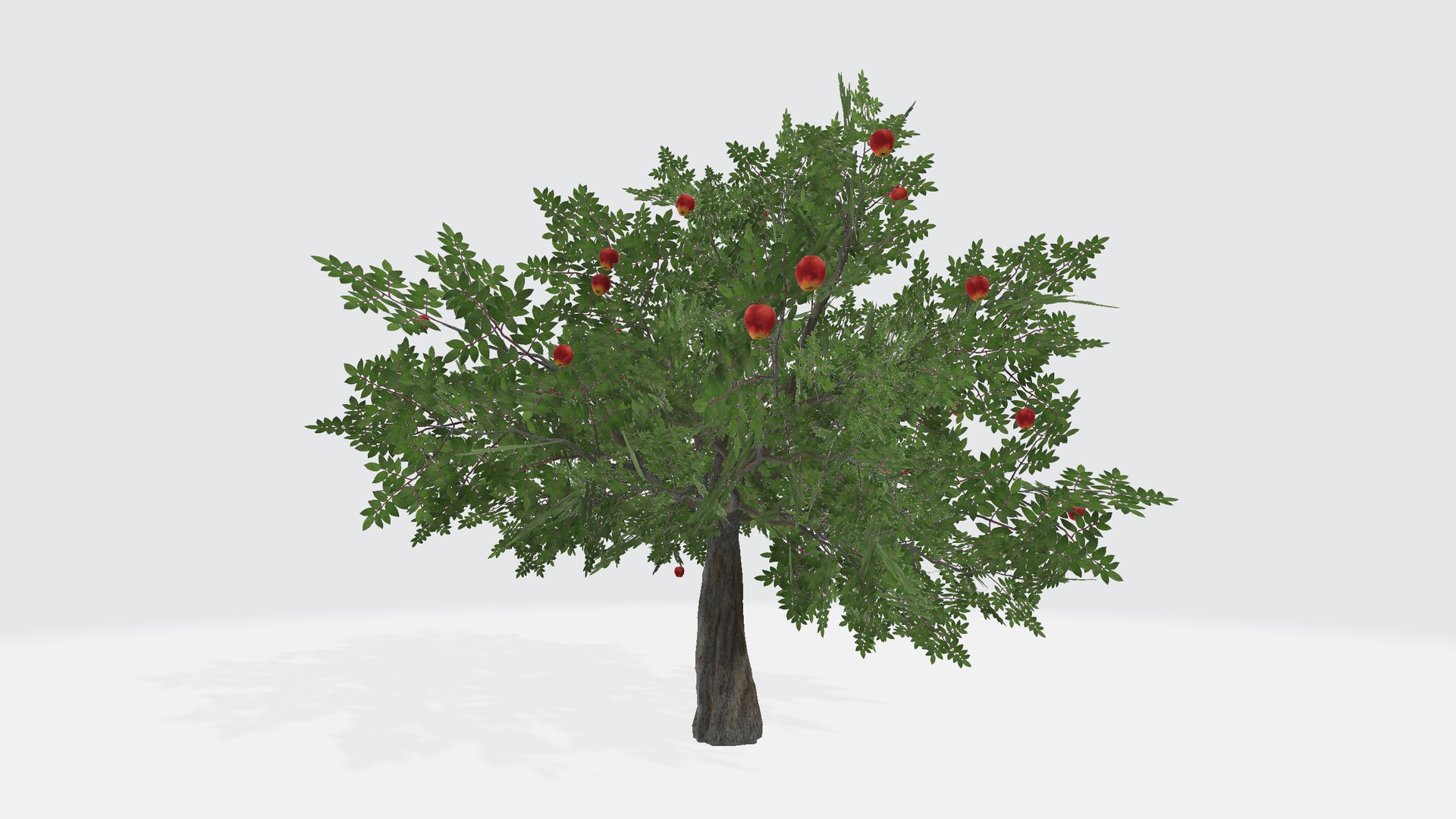 3D Model Apple Tree - TurboSquid 1241834