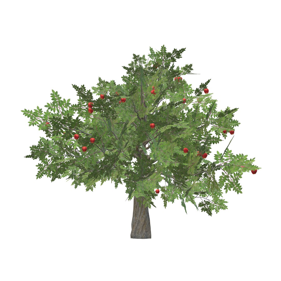 3D Model Apple Tree - TurboSquid 1241834