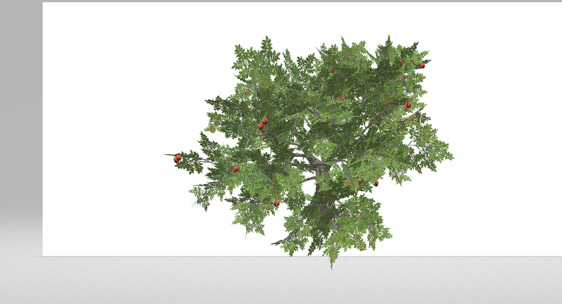 3D Model Apple Tree - TurboSquid 1241834