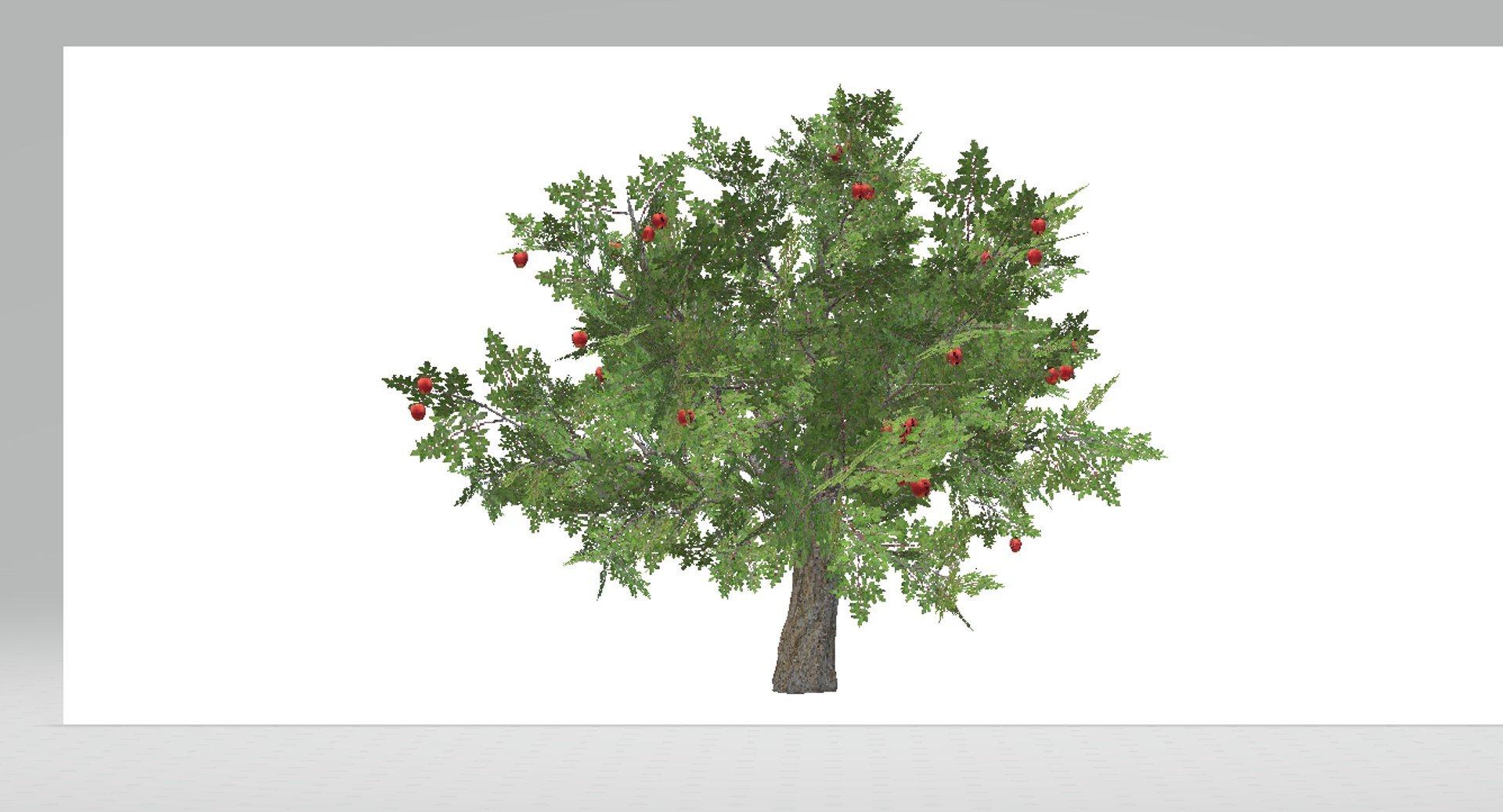 3D Model Apple Tree - TurboSquid 1241834