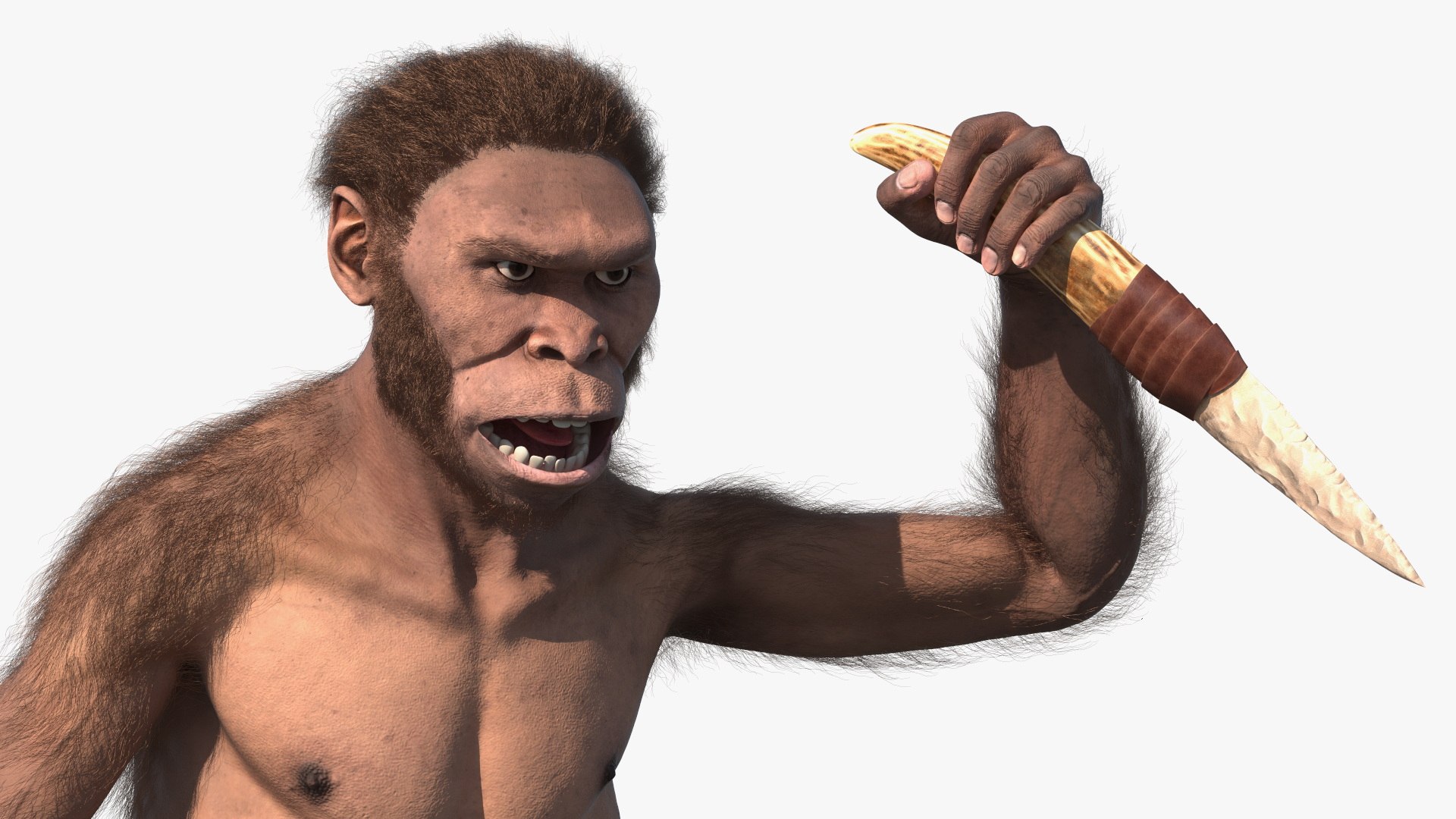 3D Homo Habilis With Knife In Fighting Pose Fur - TurboSquid 2174939