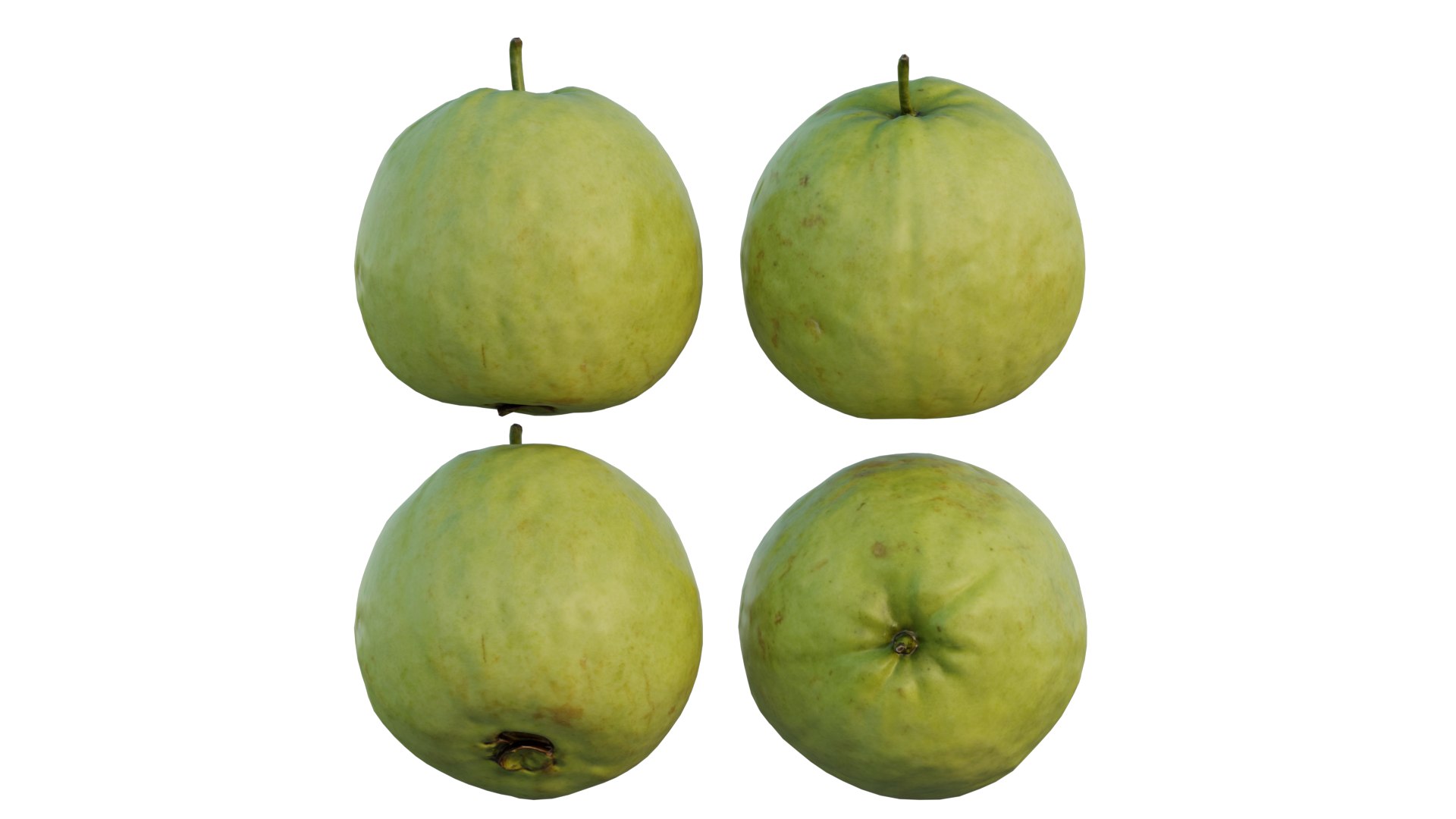 Guava 06 3D Model - TurboSquid 1937639