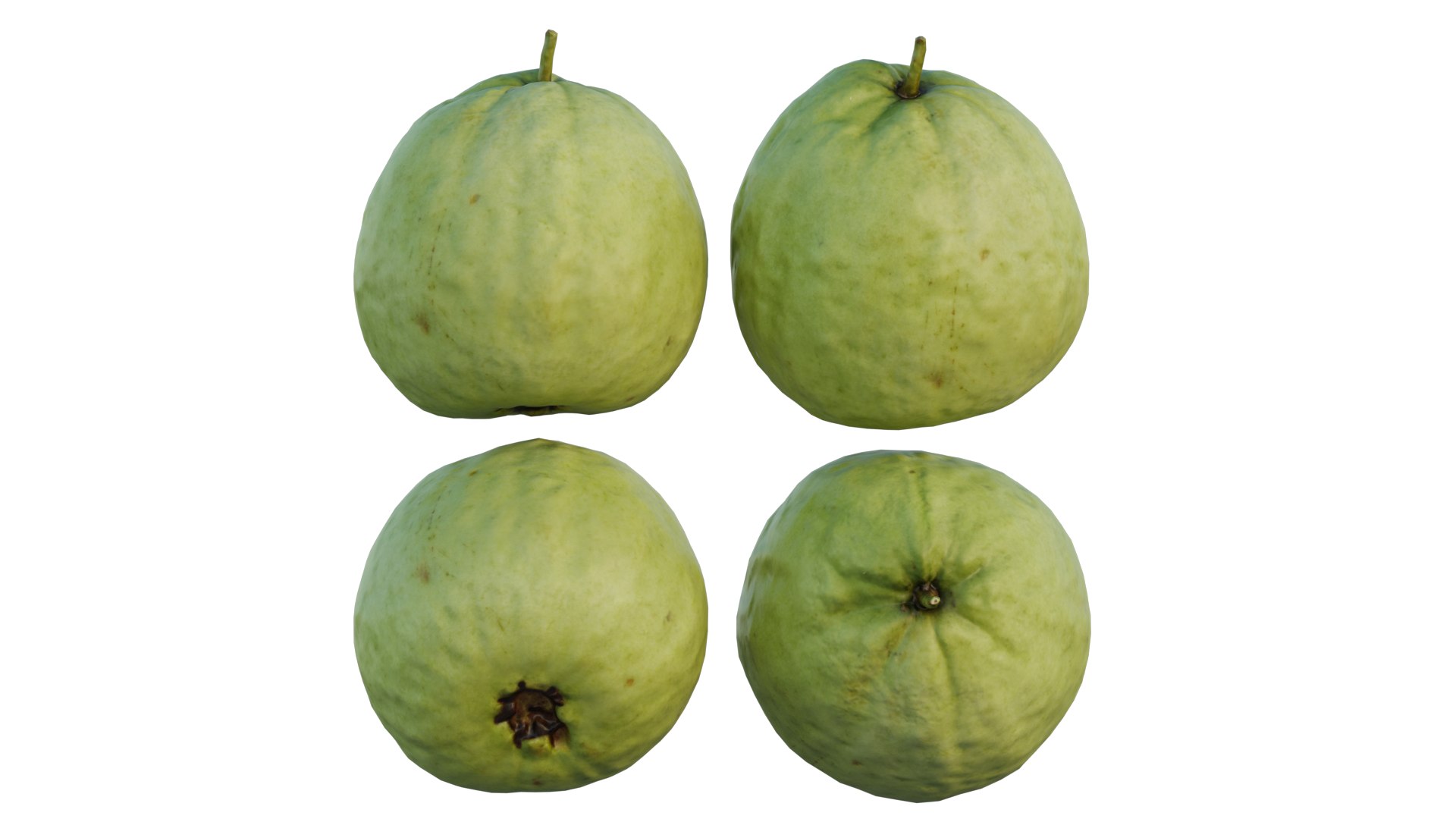 Guava 06 3D Model - TurboSquid 1937639