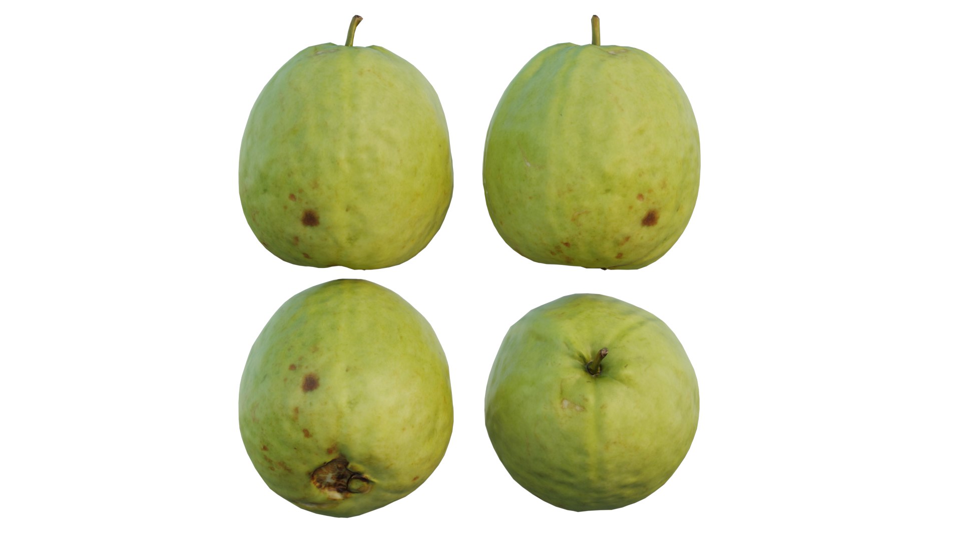 Guava 06 3D Model - TurboSquid 1937639