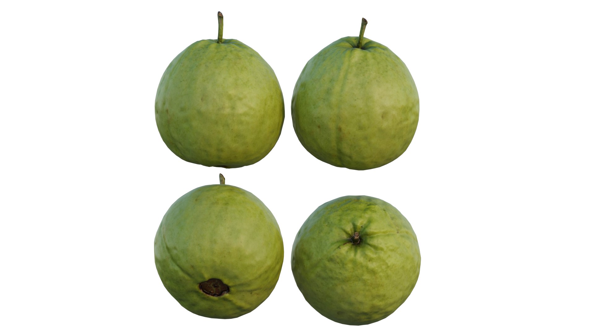 Guava 06 3D Model - TurboSquid 1937639