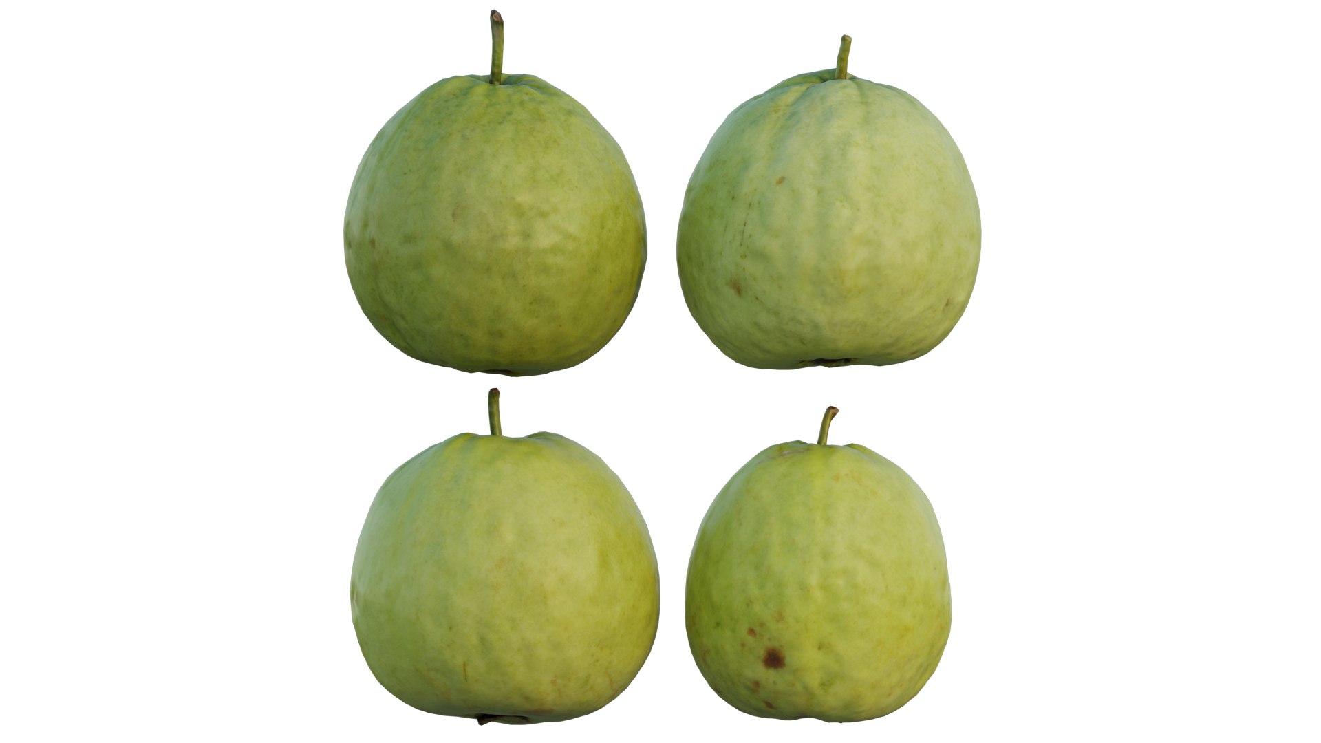 Guava 06 3D Model - TurboSquid 1937639