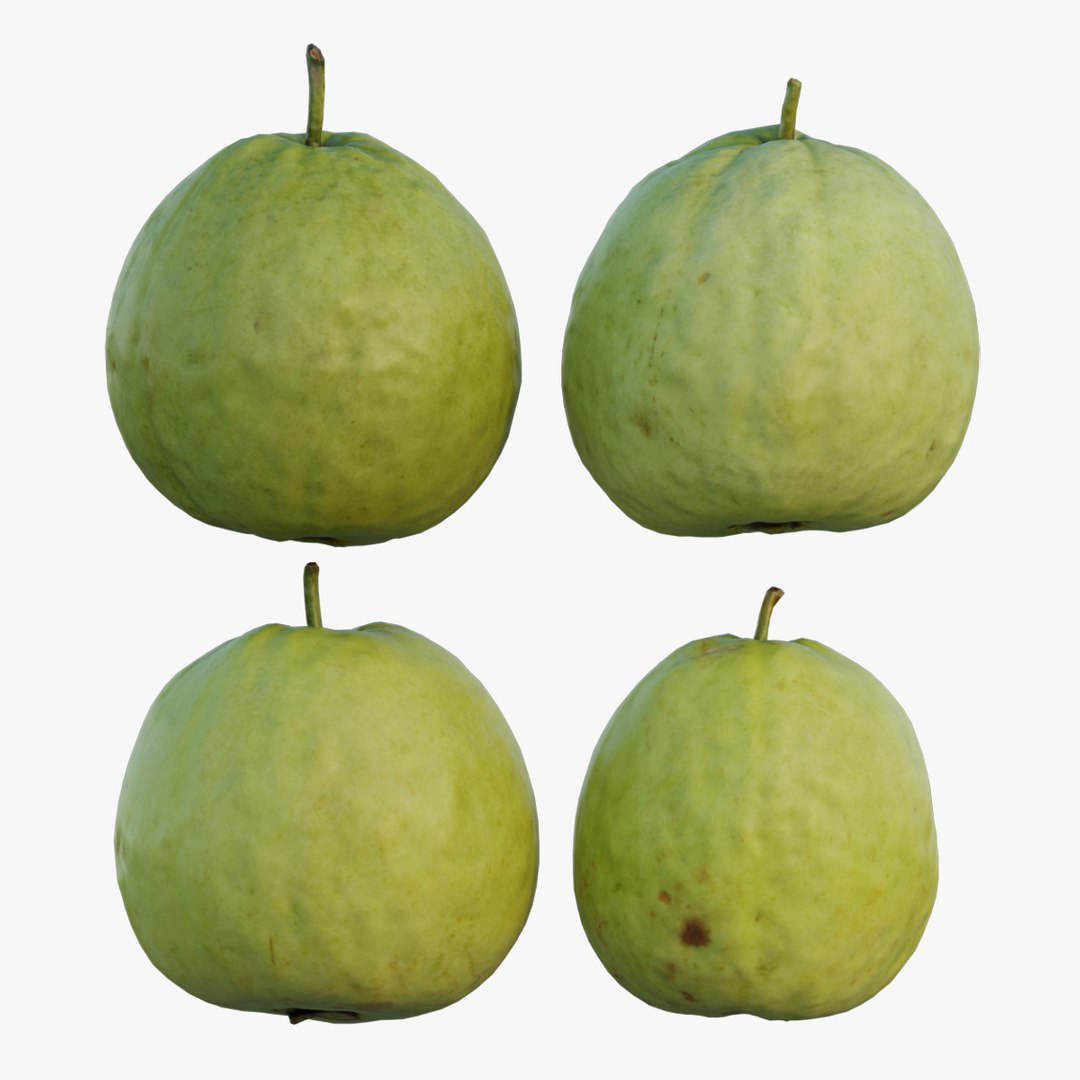 Guava 06 3D Model - TurboSquid 1937639