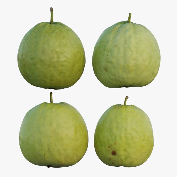 Guava 06 3D model - TurboSquid 1937639