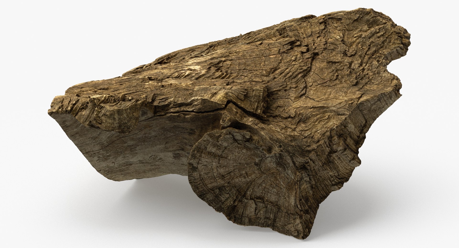 Broken Tree Trunk Piece 01 3D model - TurboSquid 2153565