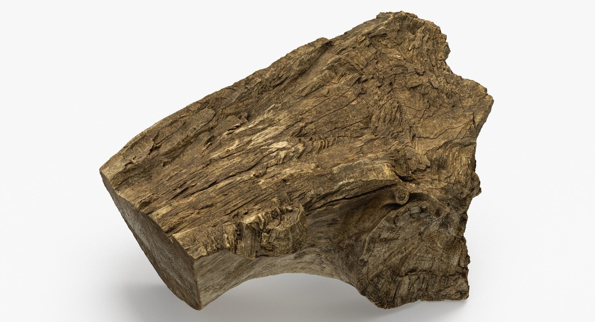 Broken Tree Trunk Piece 01 3D model - TurboSquid 2153565