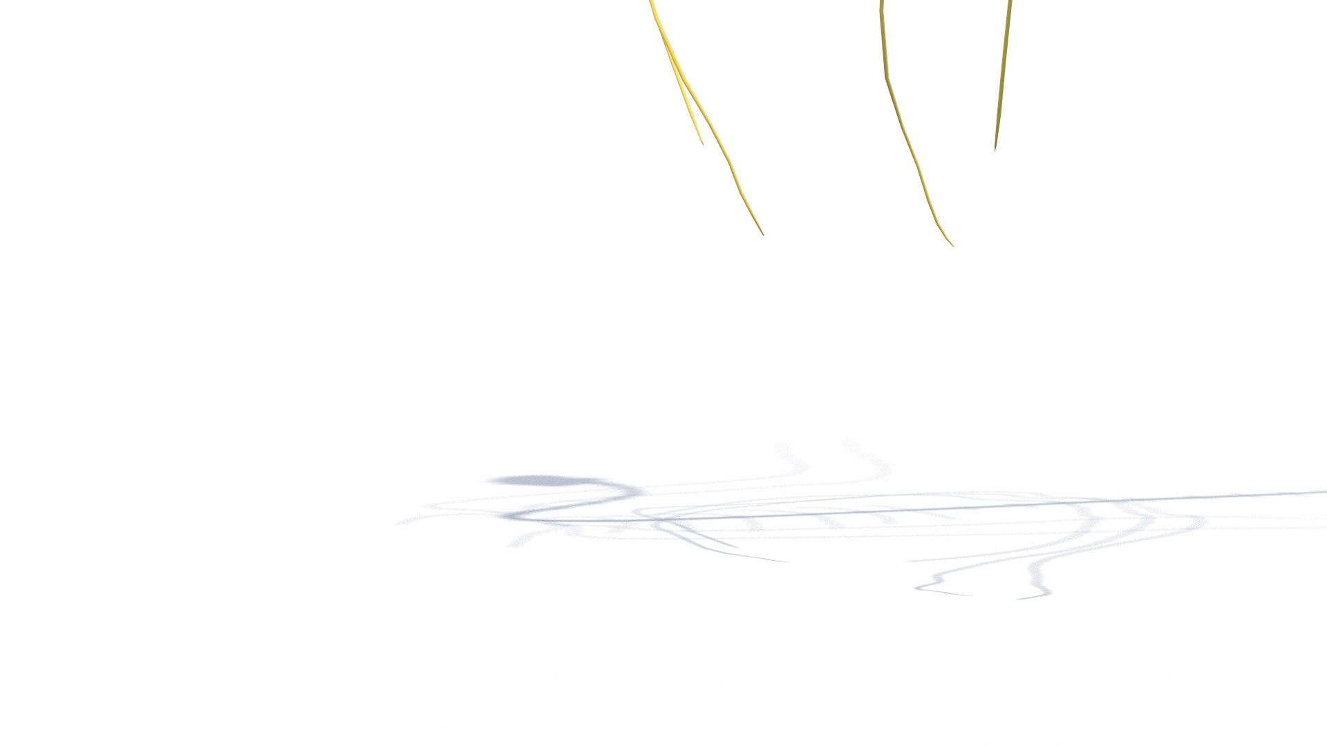 3D Chicken Body Skeleton and Nerves Static model - TurboSquid 1910899