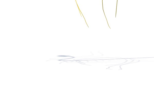 modelo 3d Esqueleto de cuerpo de pollo y nervios estáticos - TurboSquid ...