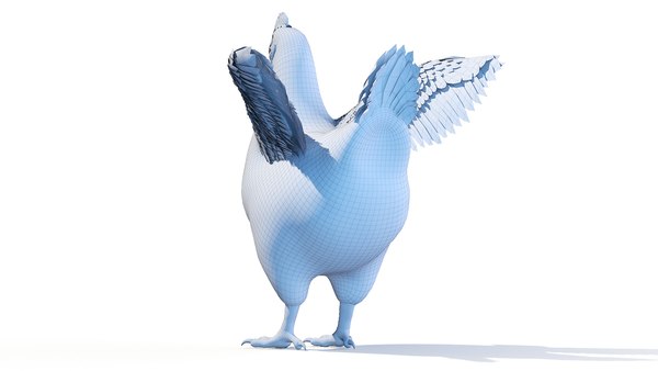 modelo 3d Esqueleto de cuerpo de pollo y nervios estáticos - TurboSquid ...