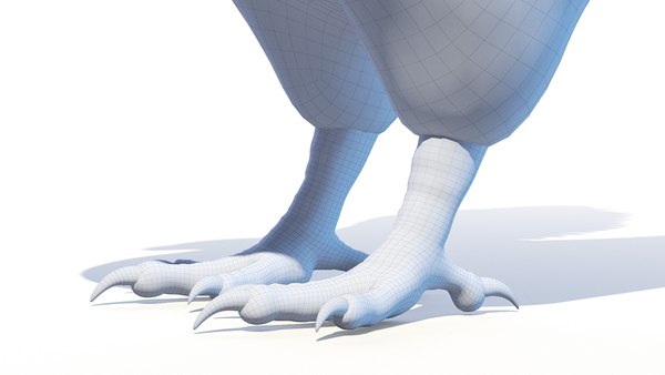 modelo 3d Esqueleto de cuerpo de pollo y nervios estáticos - TurboSquid ...