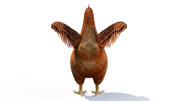 modelo 3d Esqueleto de cuerpo de pollo y nervios estáticos - TurboSquid ...