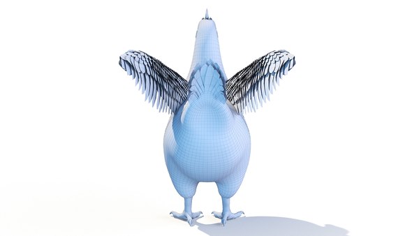 modelo 3d Esqueleto de cuerpo de pollo y nervios estáticos - TurboSquid ...