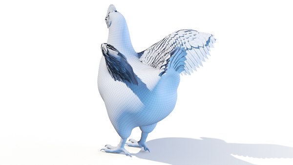 modelo 3d Esqueleto de cuerpo de pollo y nervios estáticos - TurboSquid ...