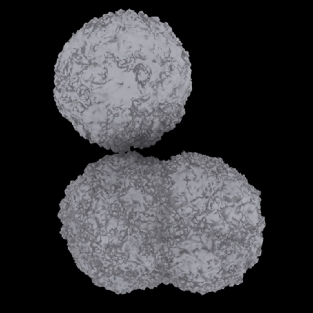 3d Staphylococcus Mrsa Model