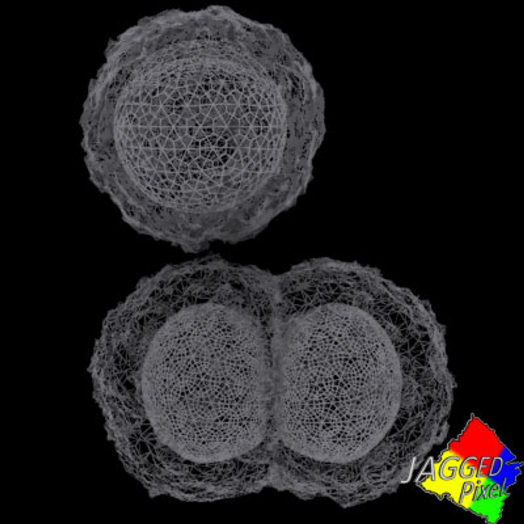 3d Staphylococcus Mrsa Model