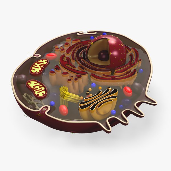 modelo 3d Célula animal - TurboSquid 2273203