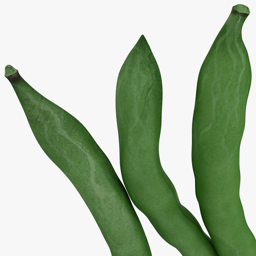 Green Beans 2 3d Model