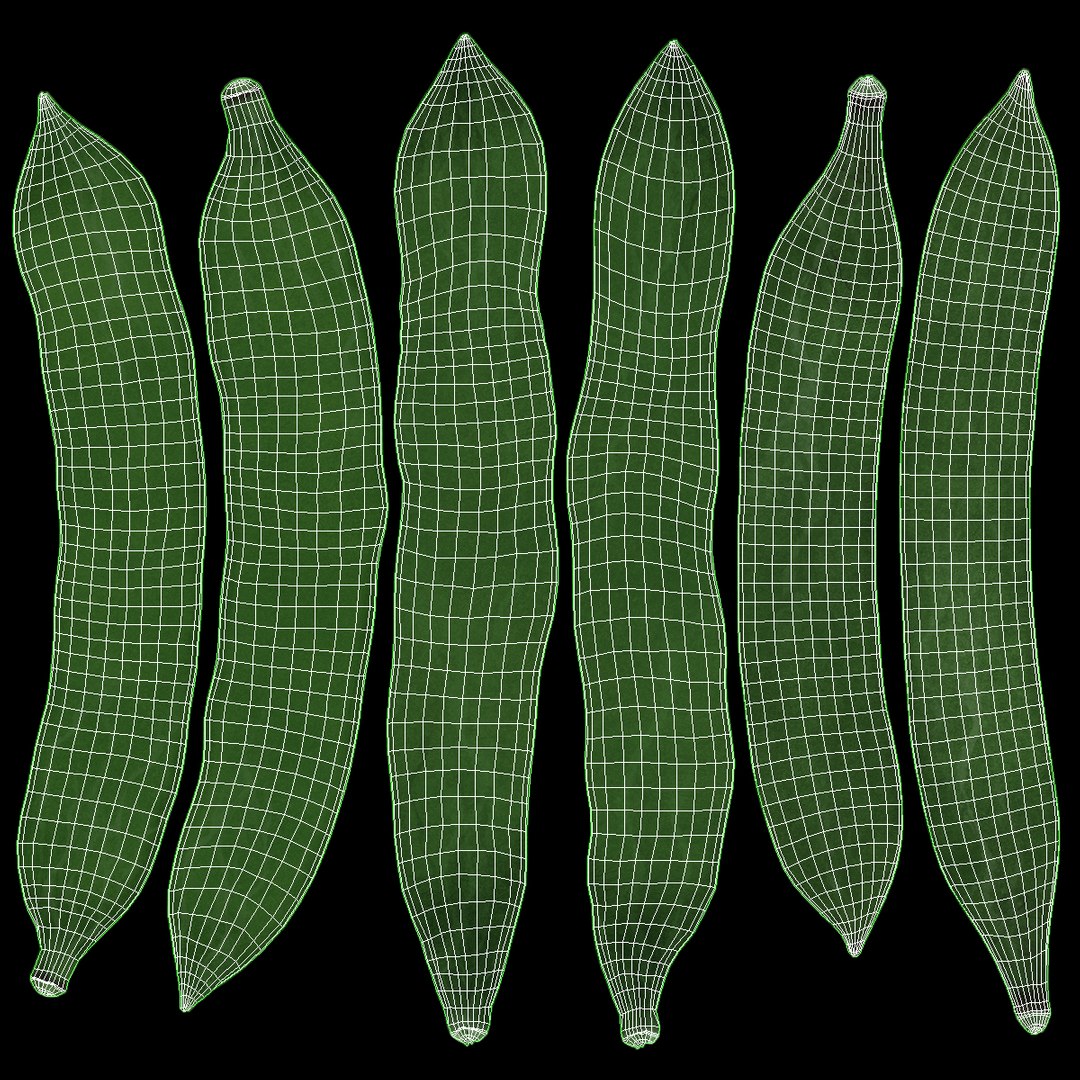 Green Beans 2 3d Model