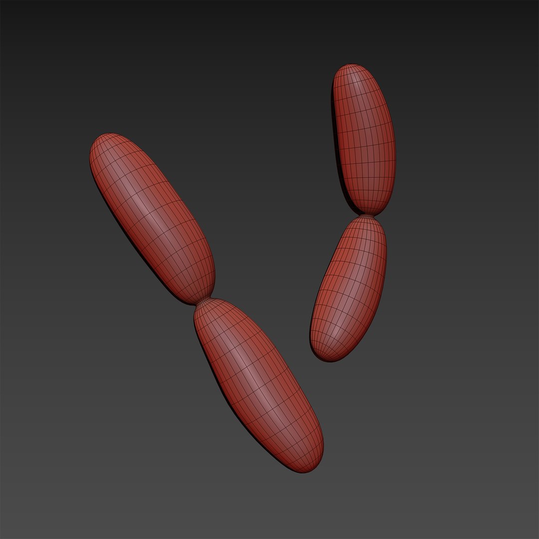 3D Microbes Bacteria Cells - TurboSquid 1626139
