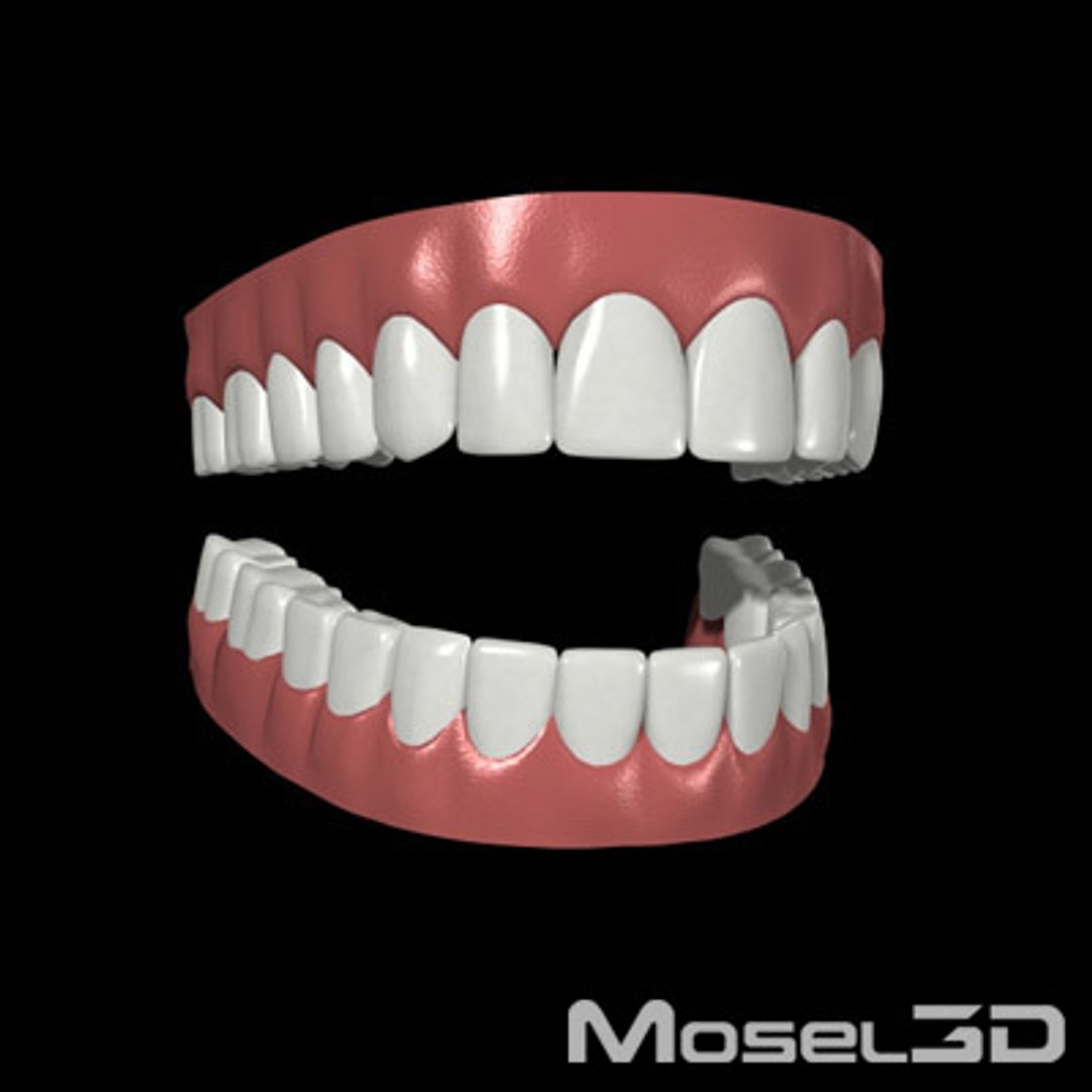 Teeth - 3d Model
