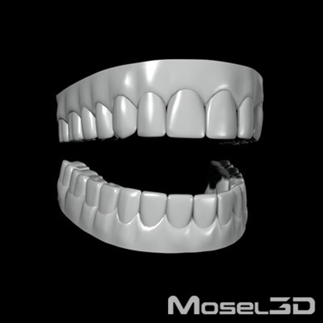 Teeth - 3d Model