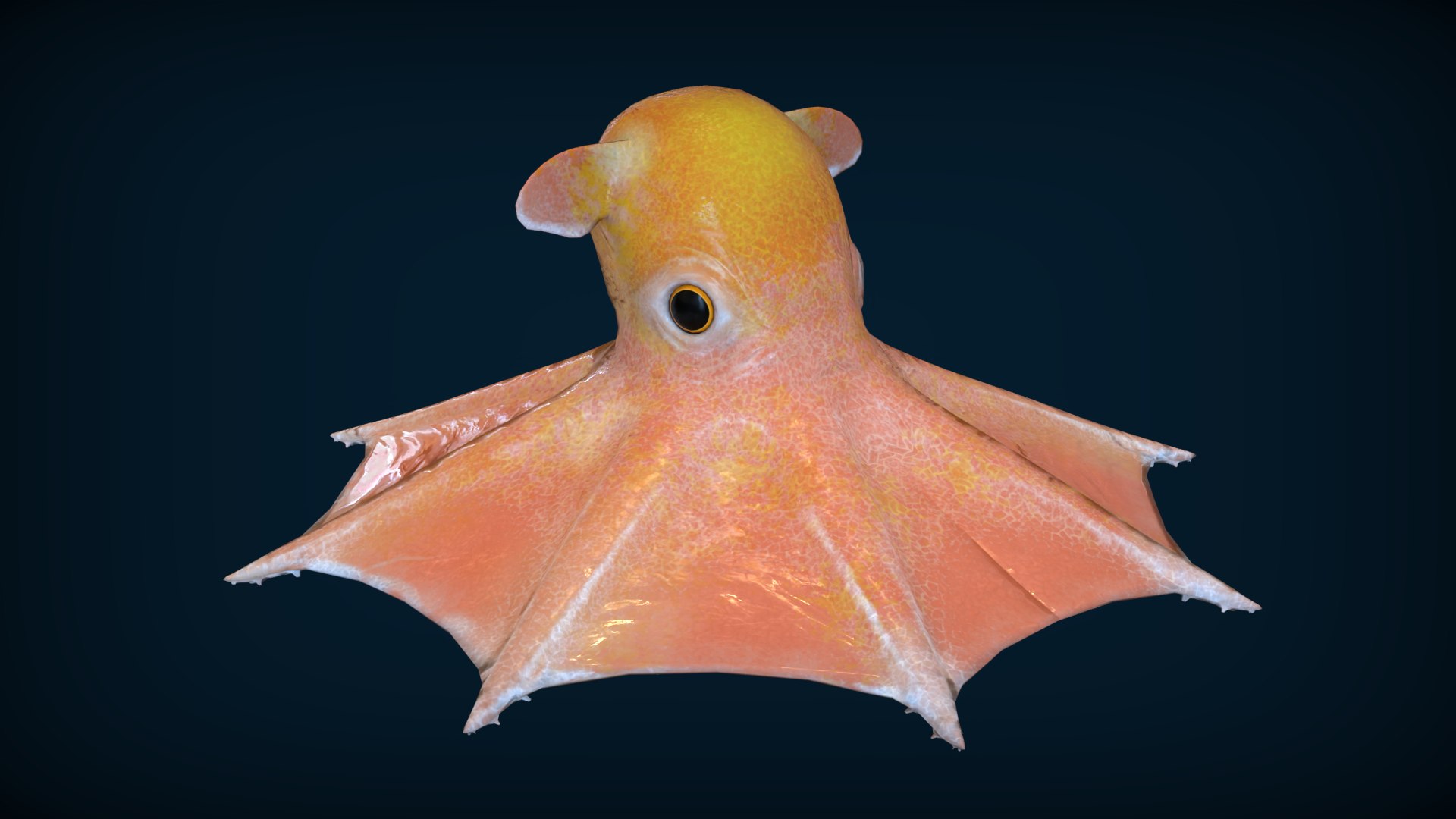 DumboOctopus 3D - TurboSquid 2306113