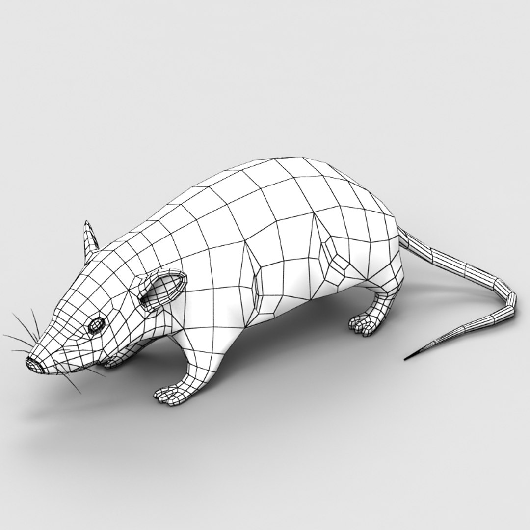 3d Model Rat Mouse