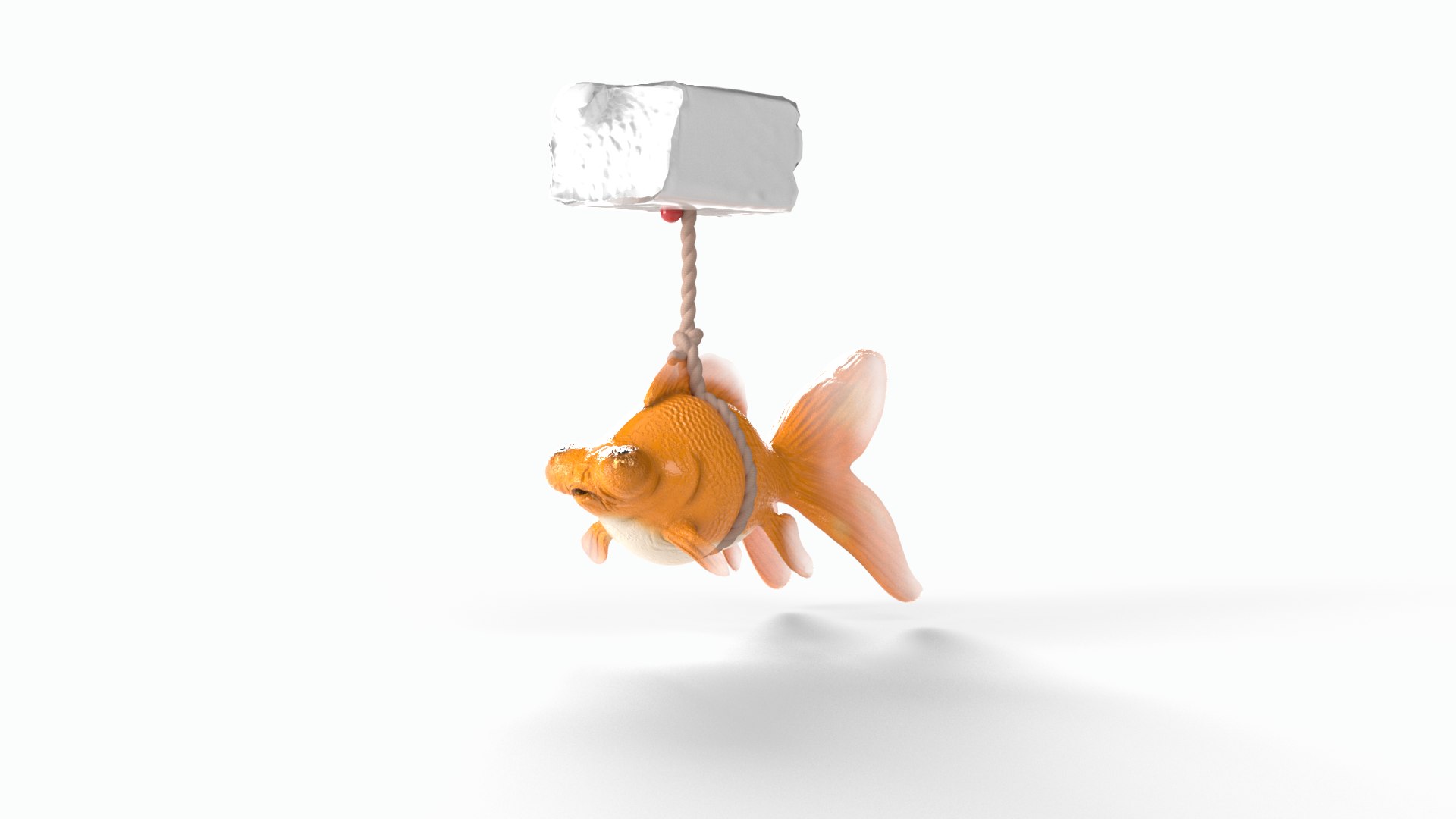 3D Orange Gold Fish Bladder Issue - TurboSquid 2410173