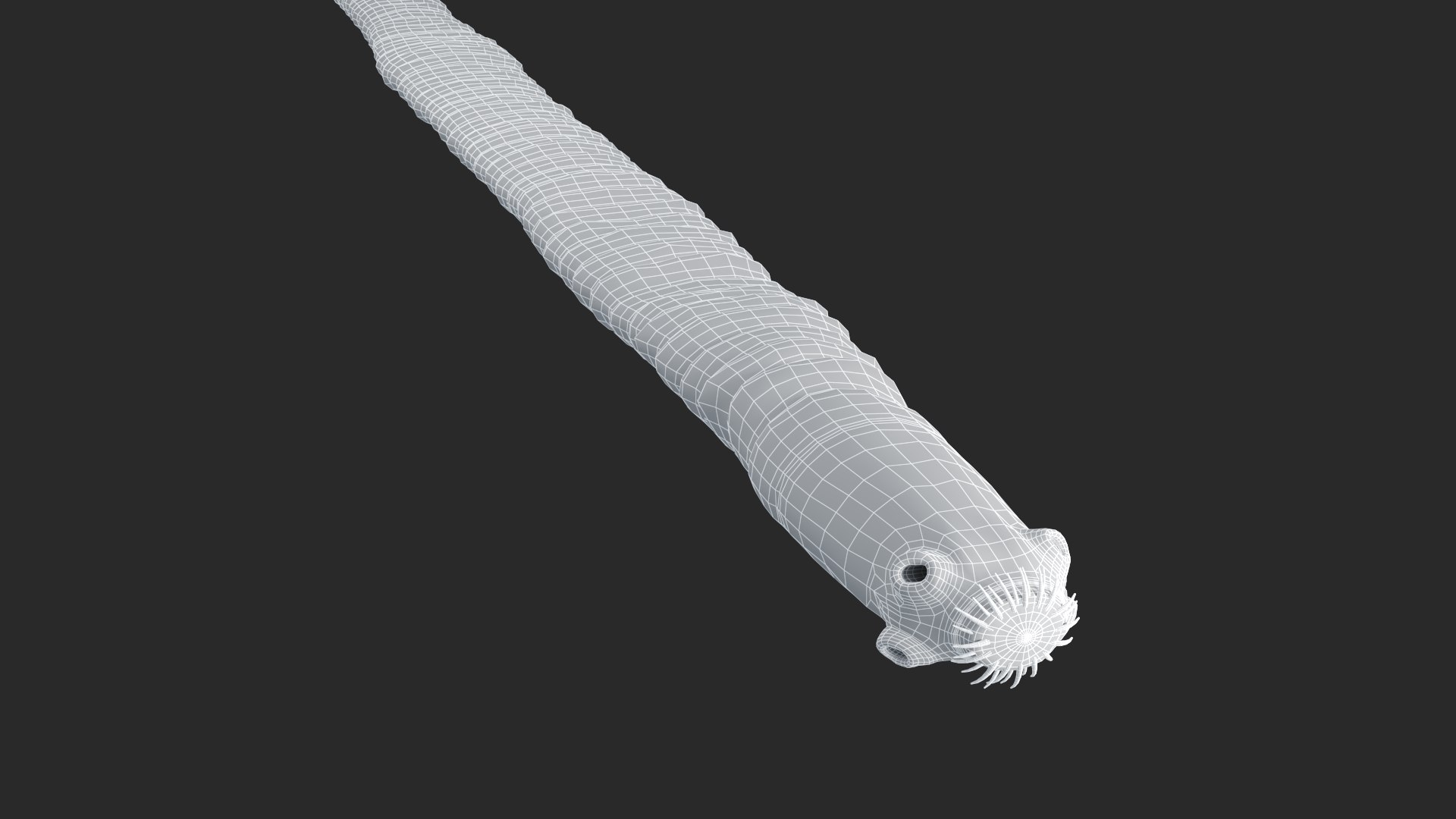 3D Tapeworm - TurboSquid 2253762