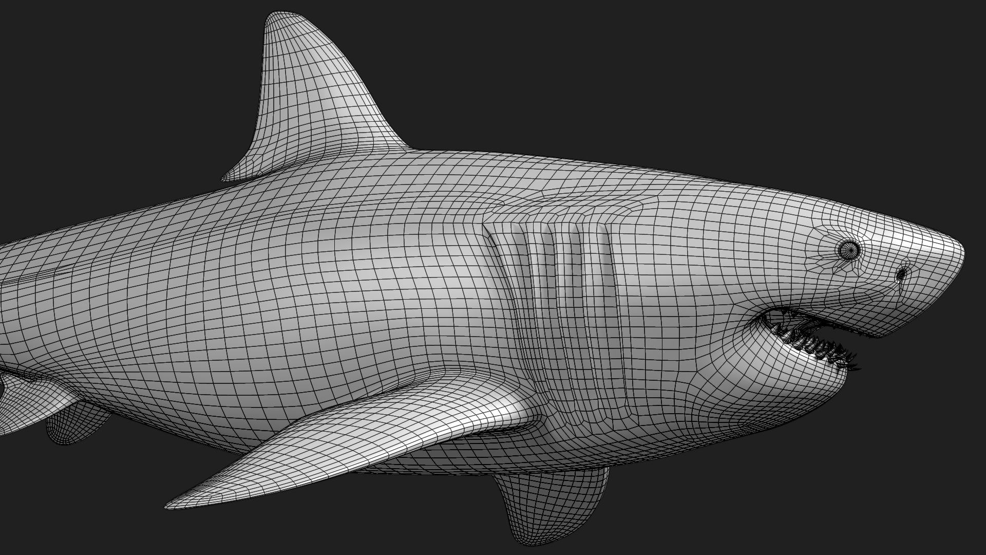 3D megalodon otodus model - TurboSquid 1686471