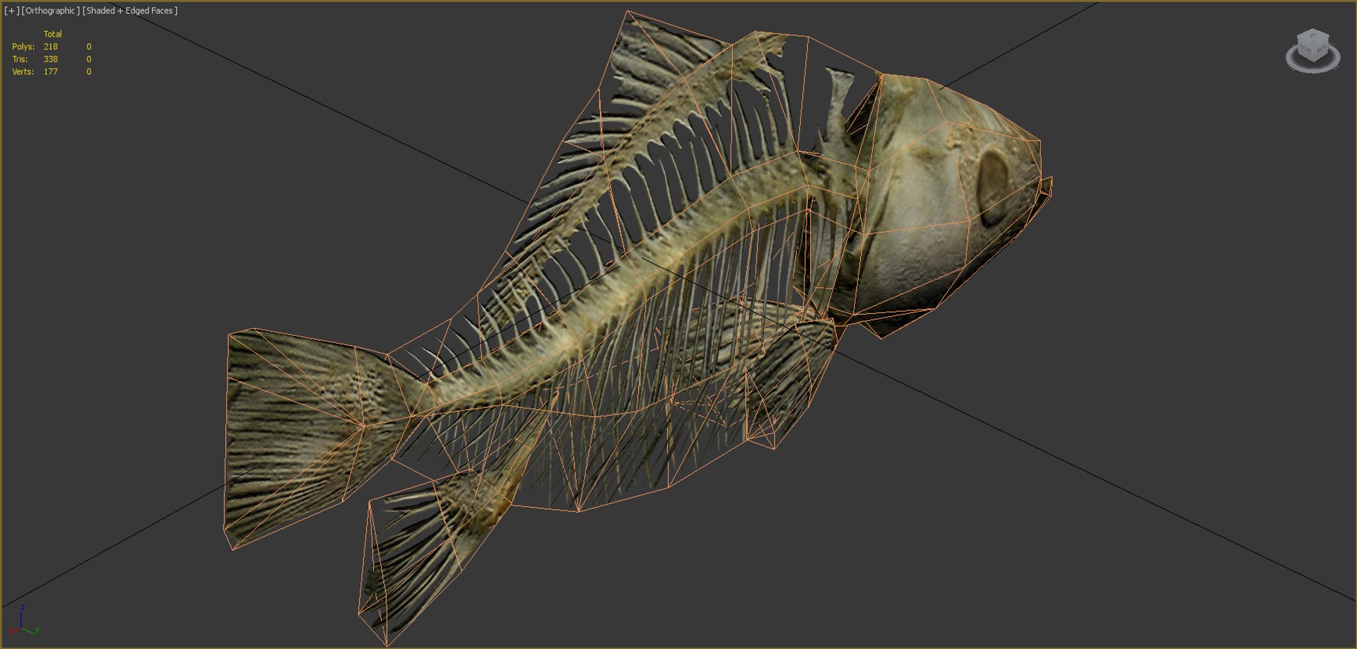 Fish Skeleton 3d Model