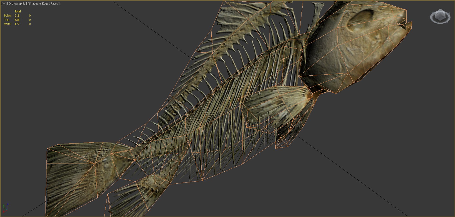 Fish Skeleton 3d Model