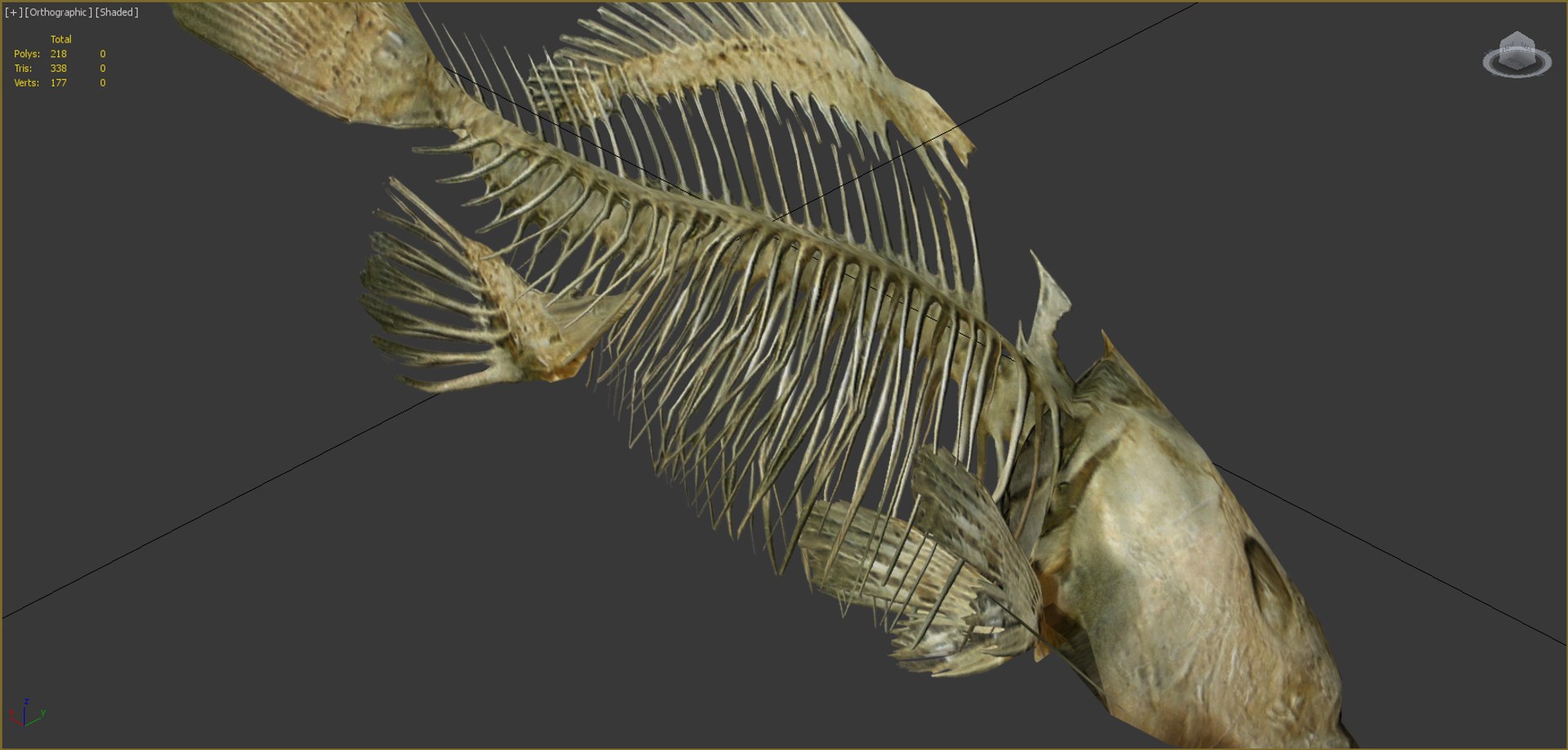 Fish Skeleton 3d Model