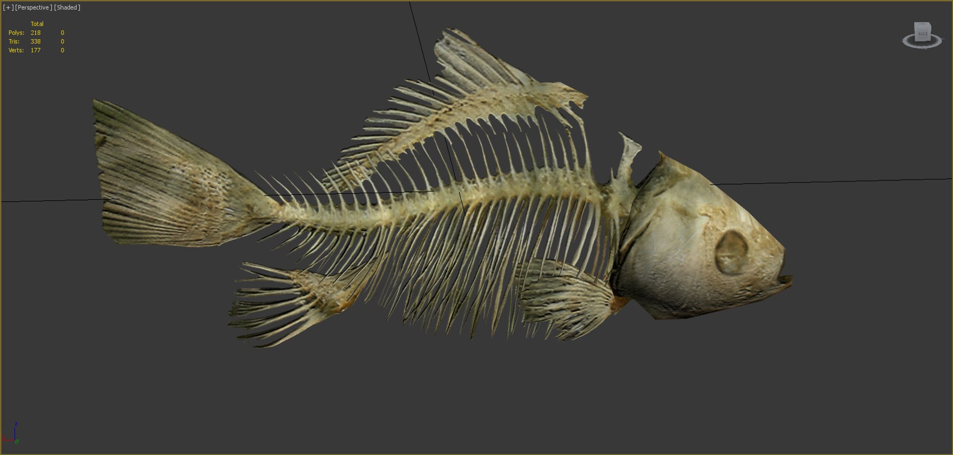 Fish Skeleton 3d Model