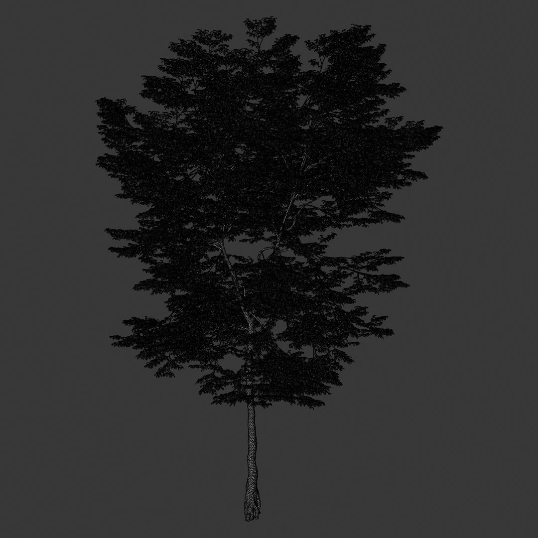 3D Plant Models Vol 5 - Mesh - TurboSquid 2574703