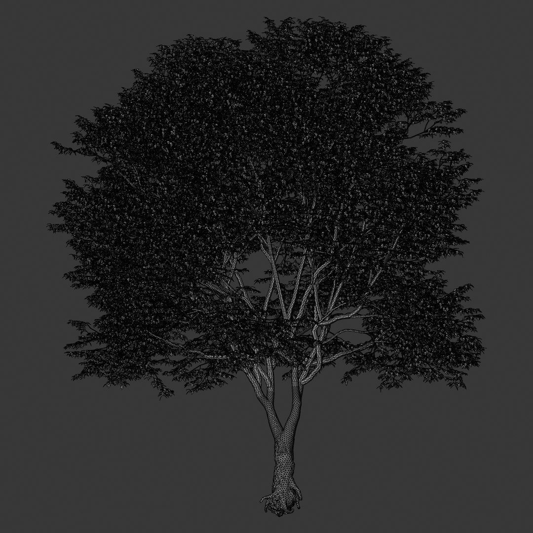 3D Plant Models Vol 5 - Mesh - TurboSquid 2574703
