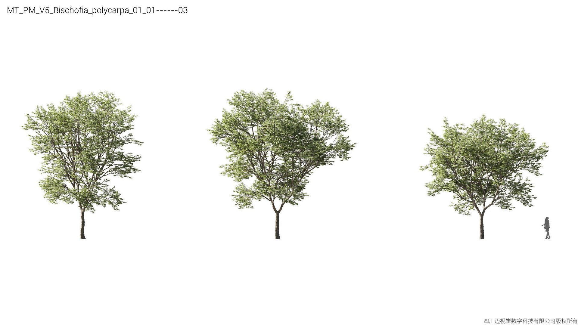 3D Plant Models Vol 5 - Mesh - TurboSquid 2574703