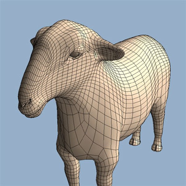 3d sheep model