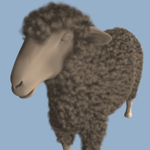 3d sheep model