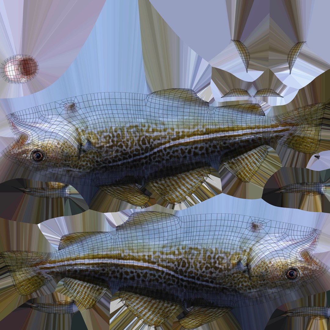 3D Cod Pbr Model - TurboSquid 1299571