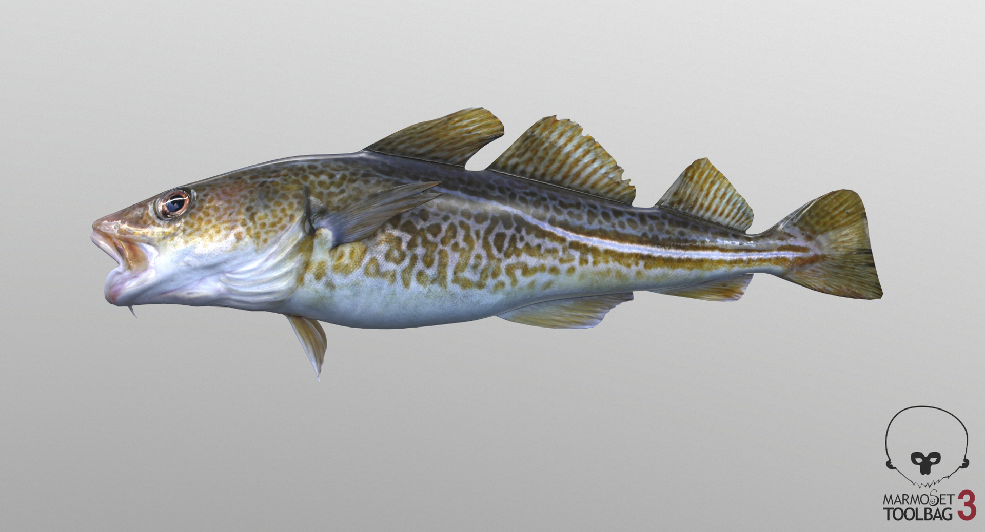 3D Cod Pbr Model - TurboSquid 1299571
