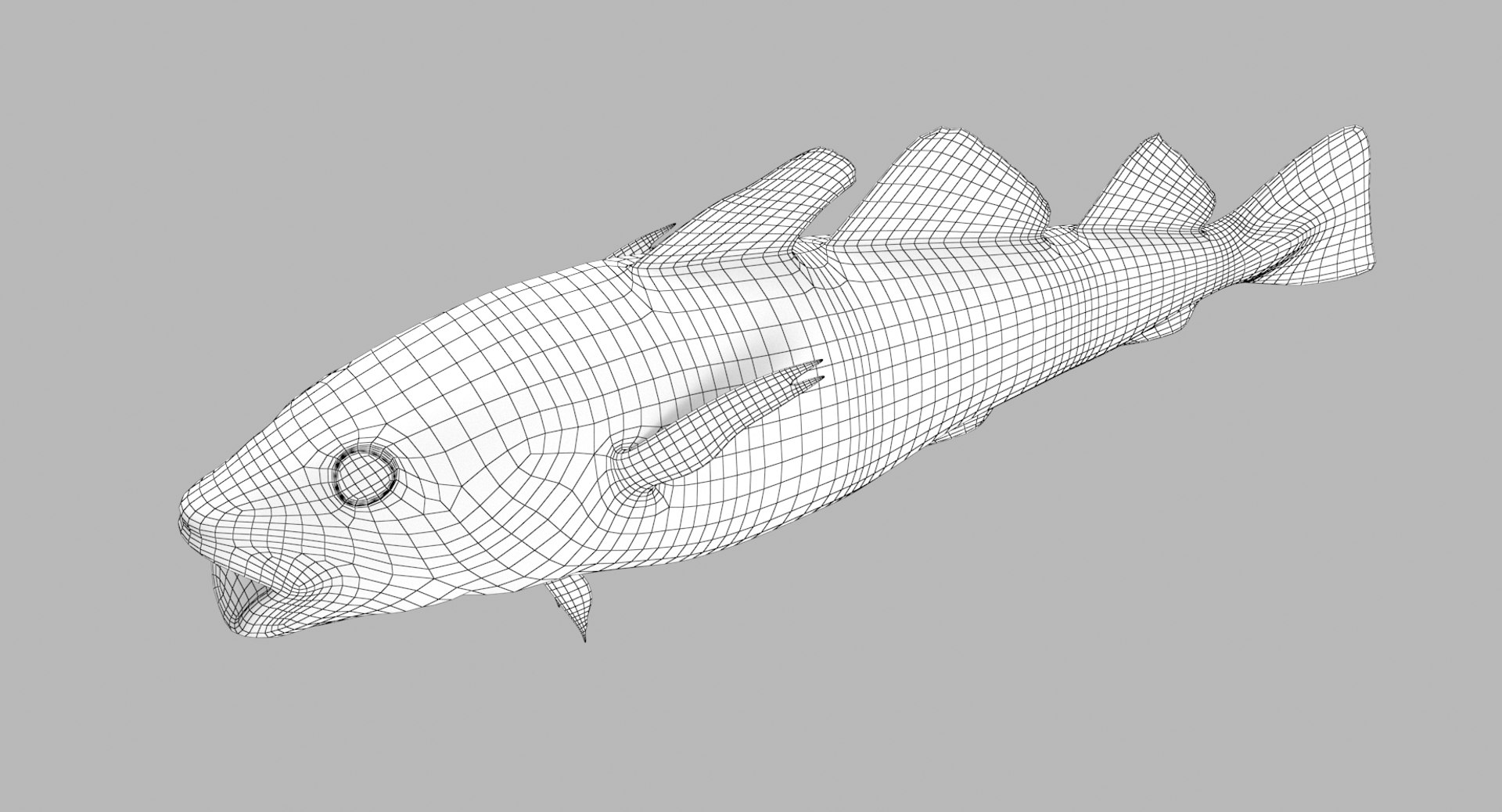 3D Cod Pbr Model - TurboSquid 1299571