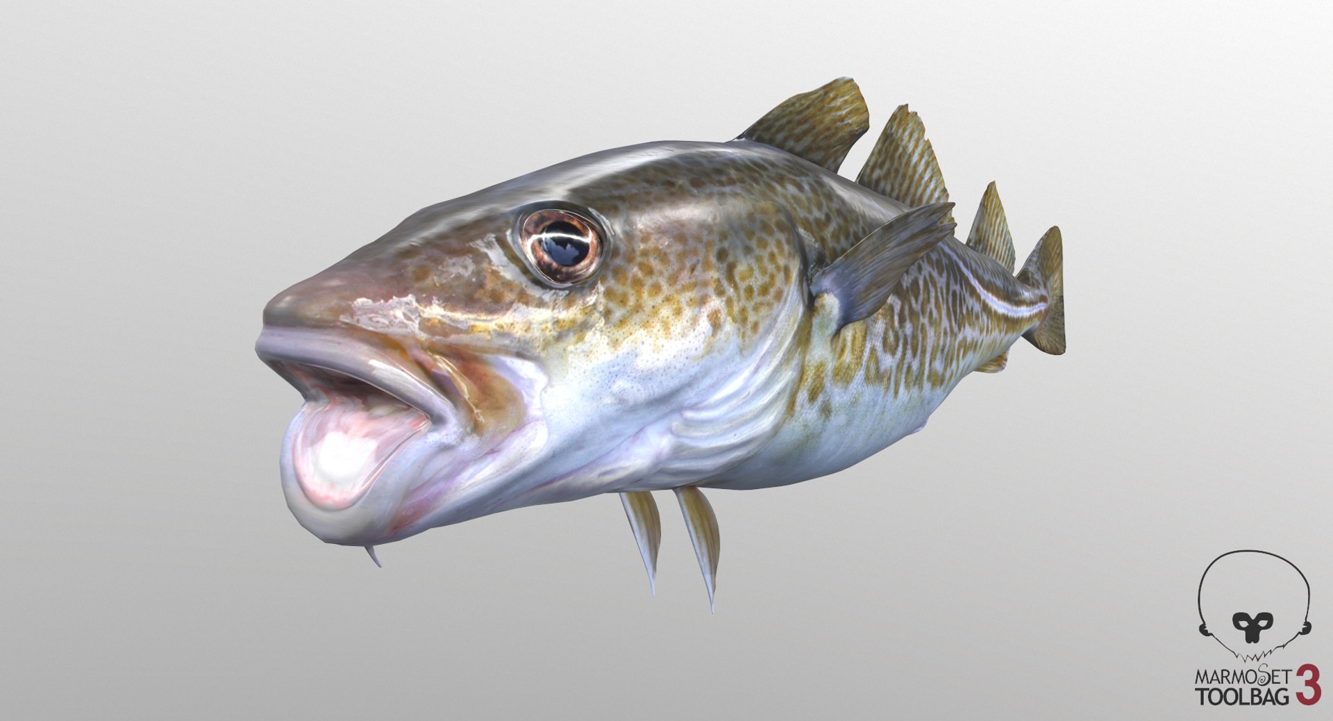 3D Cod Pbr Model - TurboSquid 1299571