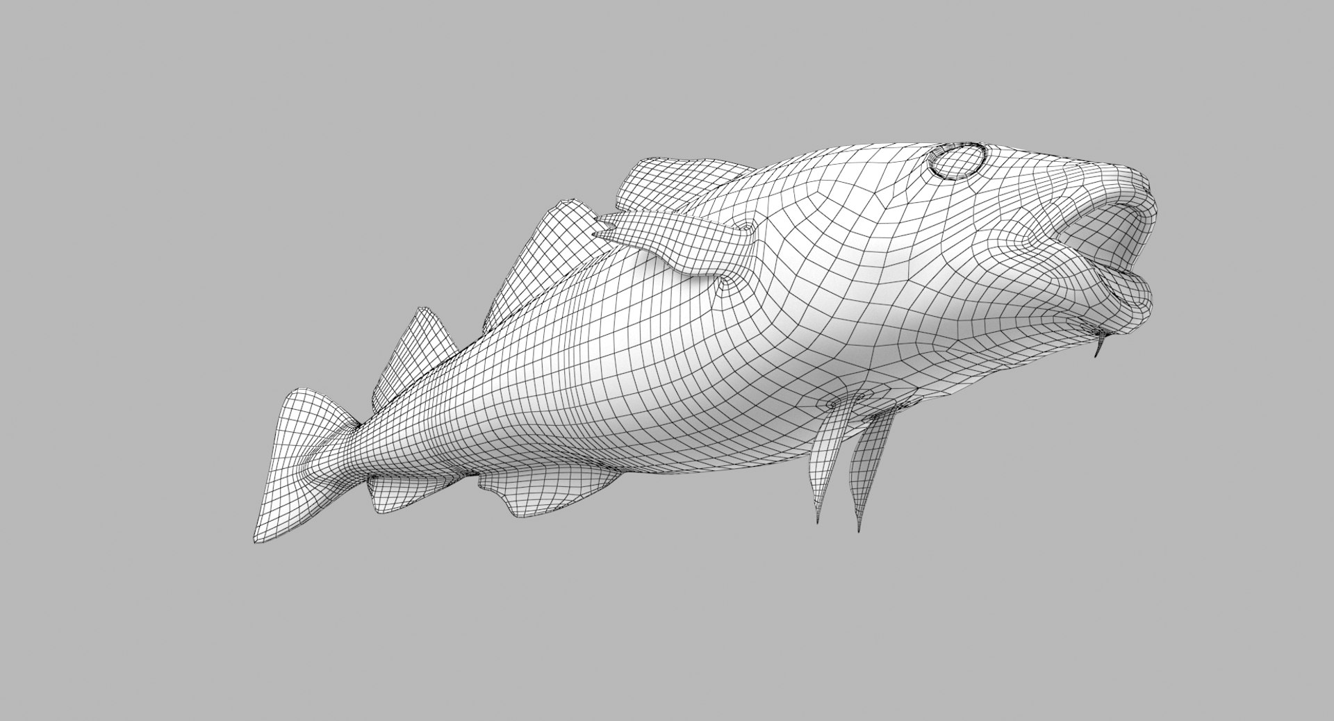 3D Cod Pbr Model - TurboSquid 1299571